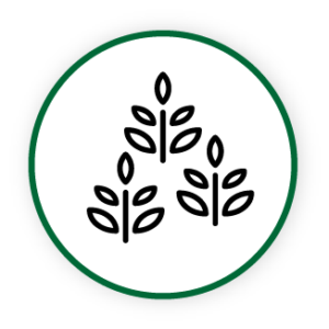 Mooc-Elec-Kmutnb – ระบบการเรียนรู้ออนไลน์แบบเปิดของมหาวิทยาลัยเทคโนโลยีพระจอมเกล้าพระนครเหนือ ...